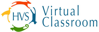 Diplomado en Medicina Interna 2024 – HVS Capacitación