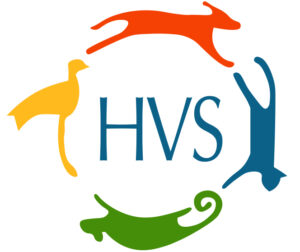 HVS Capacitación – Apoyando la difusión del conocimiento médico